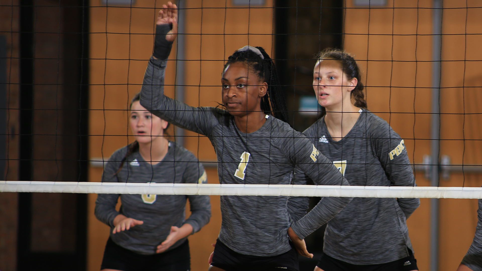 Ashley Caesar - Volleyball - UNCP Athletics
