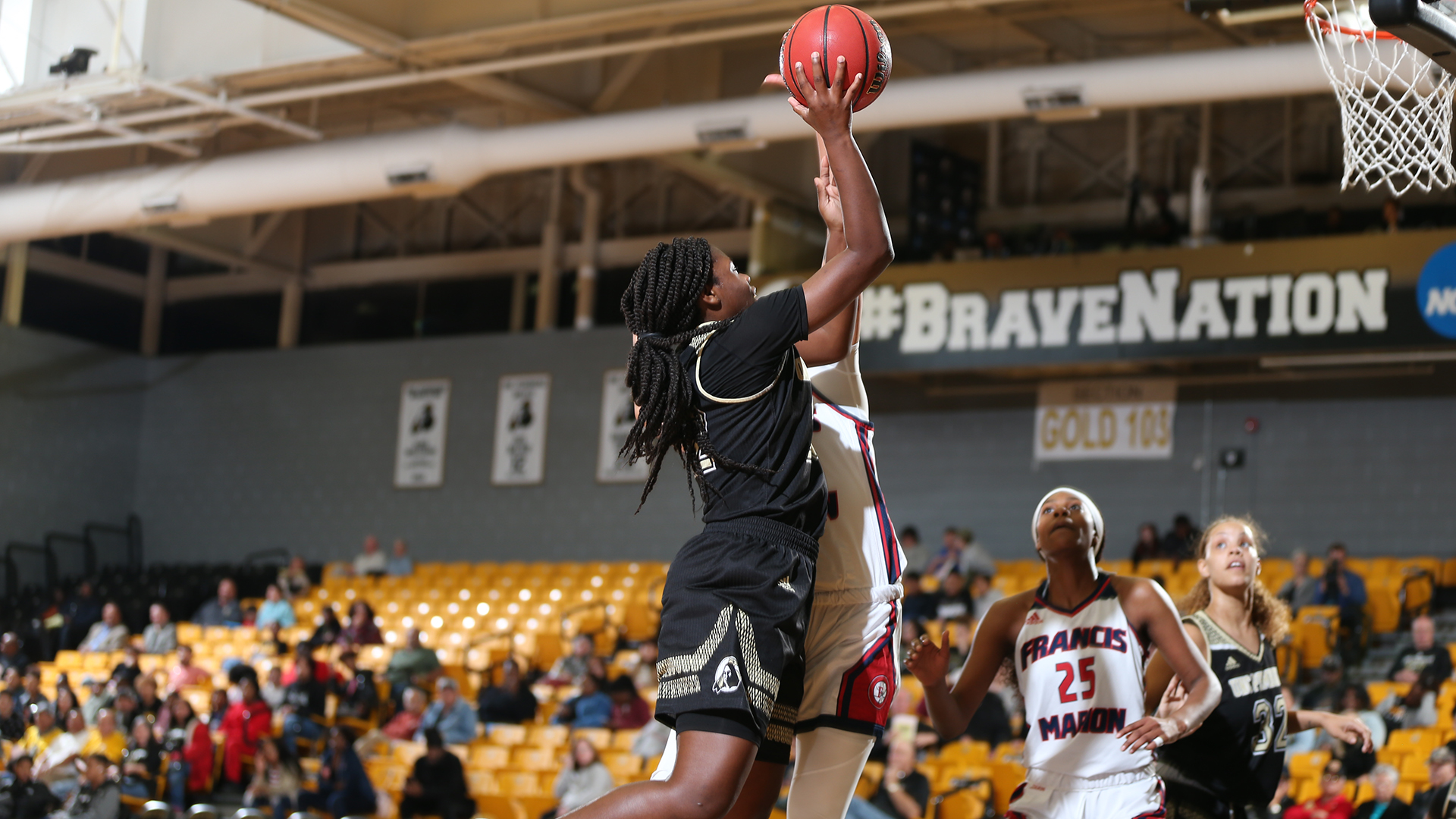 Melanie Horne - Women's Basketball - UNCP Athletics
