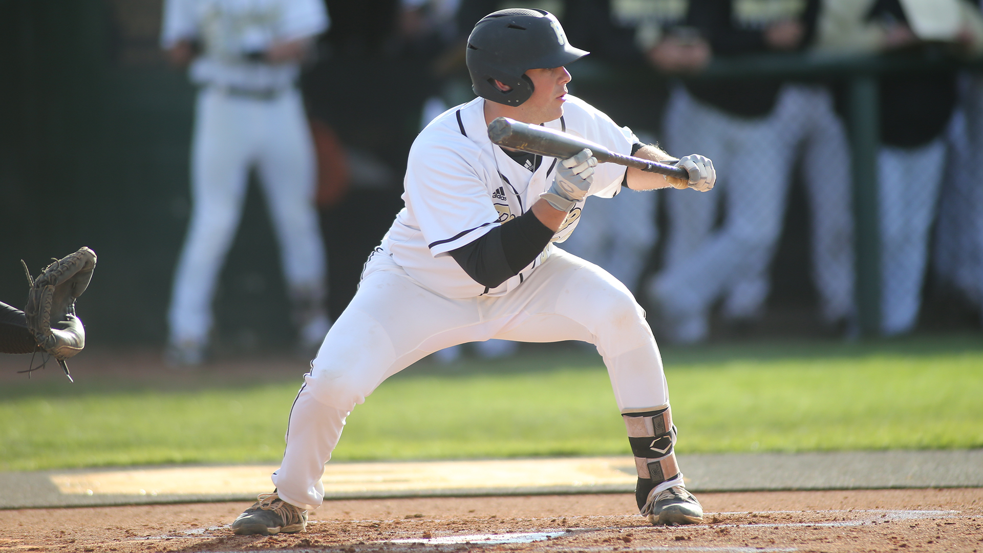 Alex Simpson - Baseball - UNCP Athletics