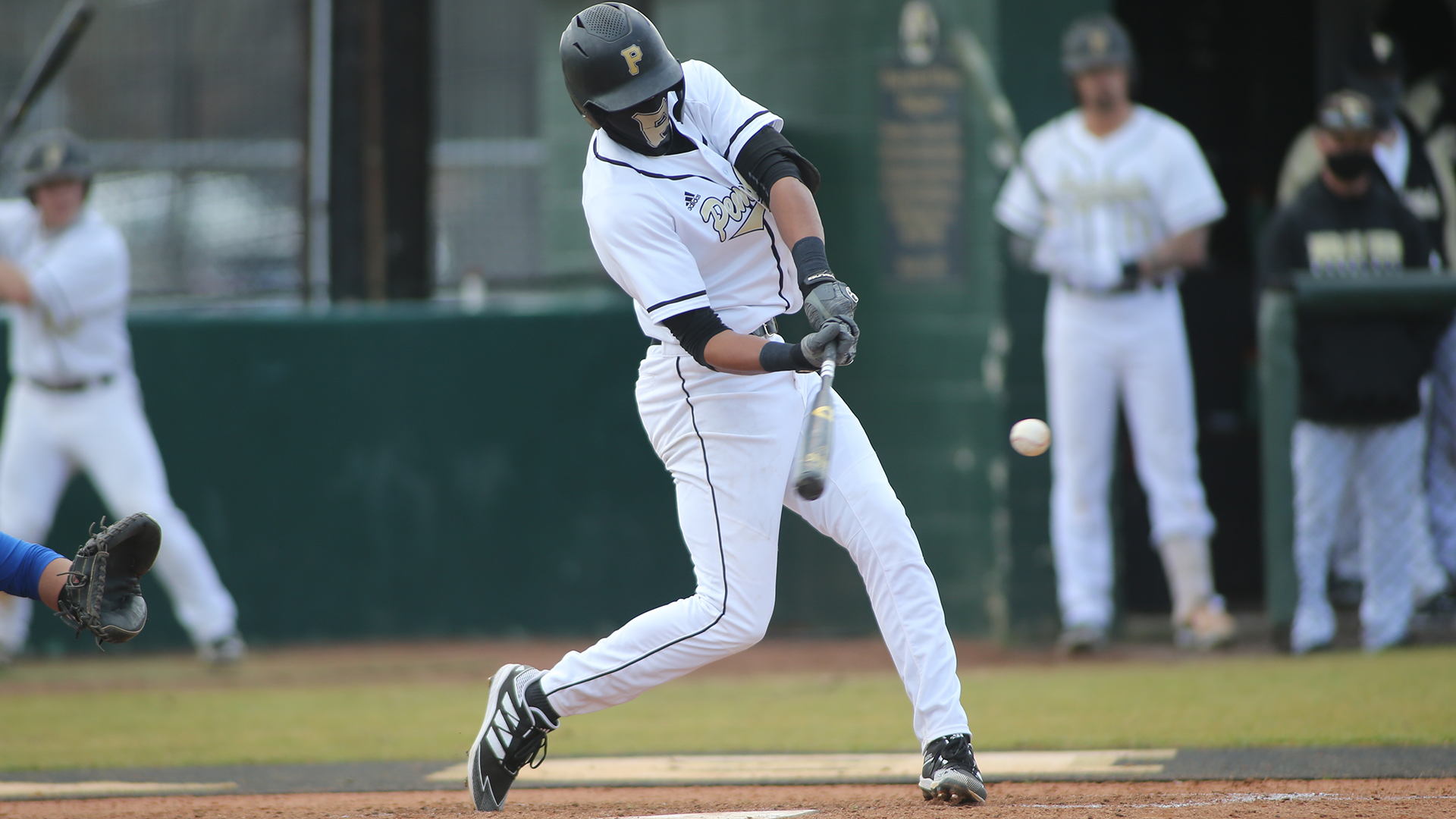 Wellington Guzman - Baseball - UNCP Athletics