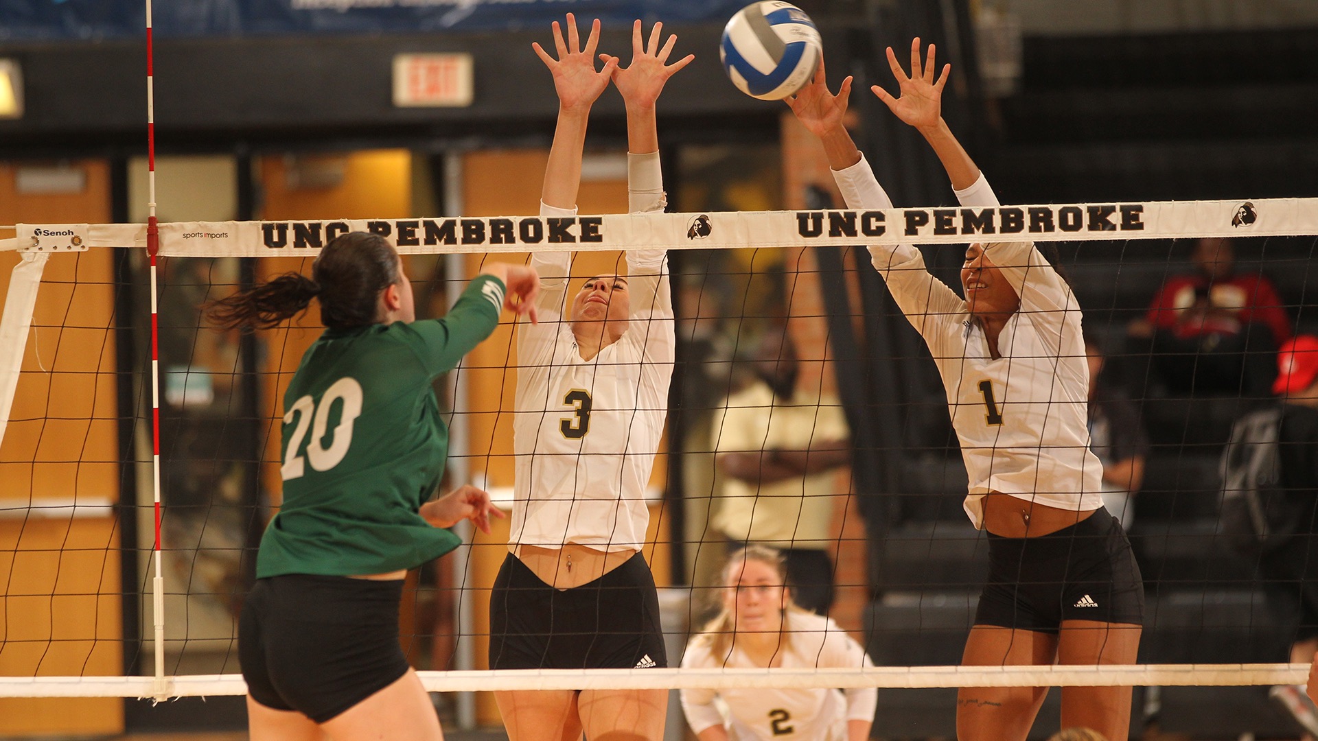 Volleyball Falls In Five Sets At Chowan - UNCP Athletics
