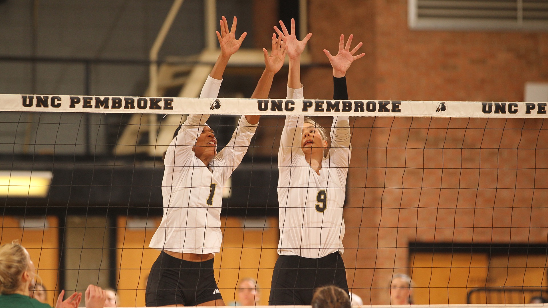 Volleyball Gets Big Win Against Mount Olive - UNCP Athletics
