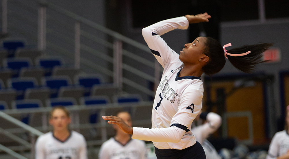 Devyn Wheeler - 2017 - Volleyball - University of North Florida Athletics