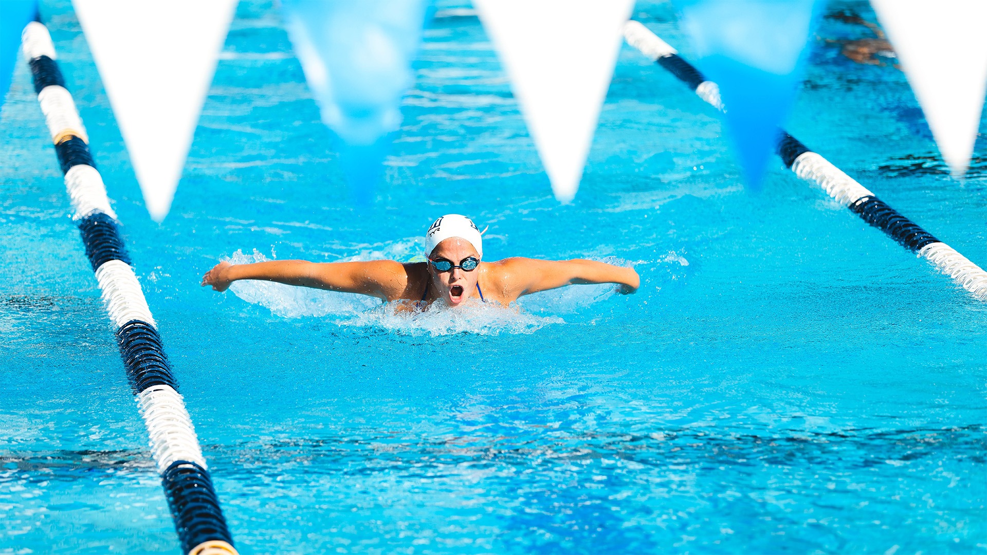 Swimming Wraps Up 2024 at Gamecock Invite - University of North Florida ...