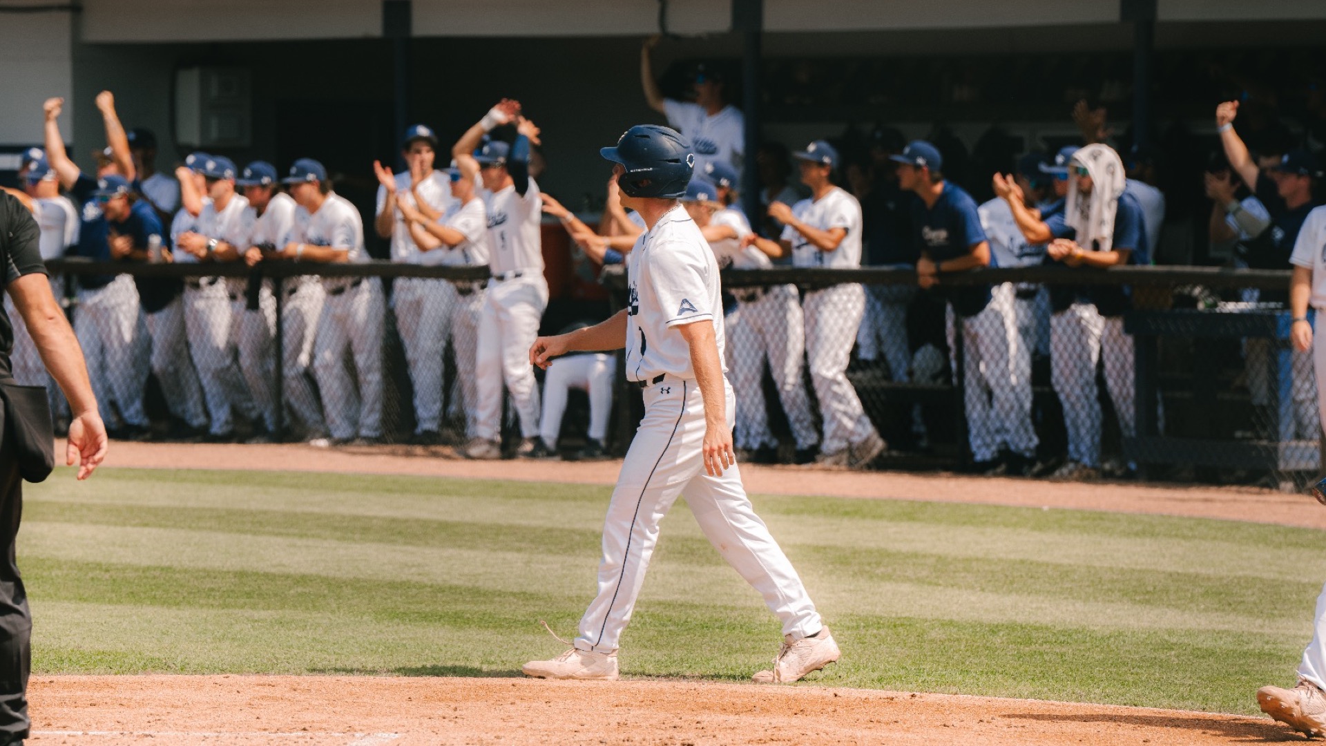 FIRST PITCH - Baseball Hosts Wednesday Midweek Against USF - University ...