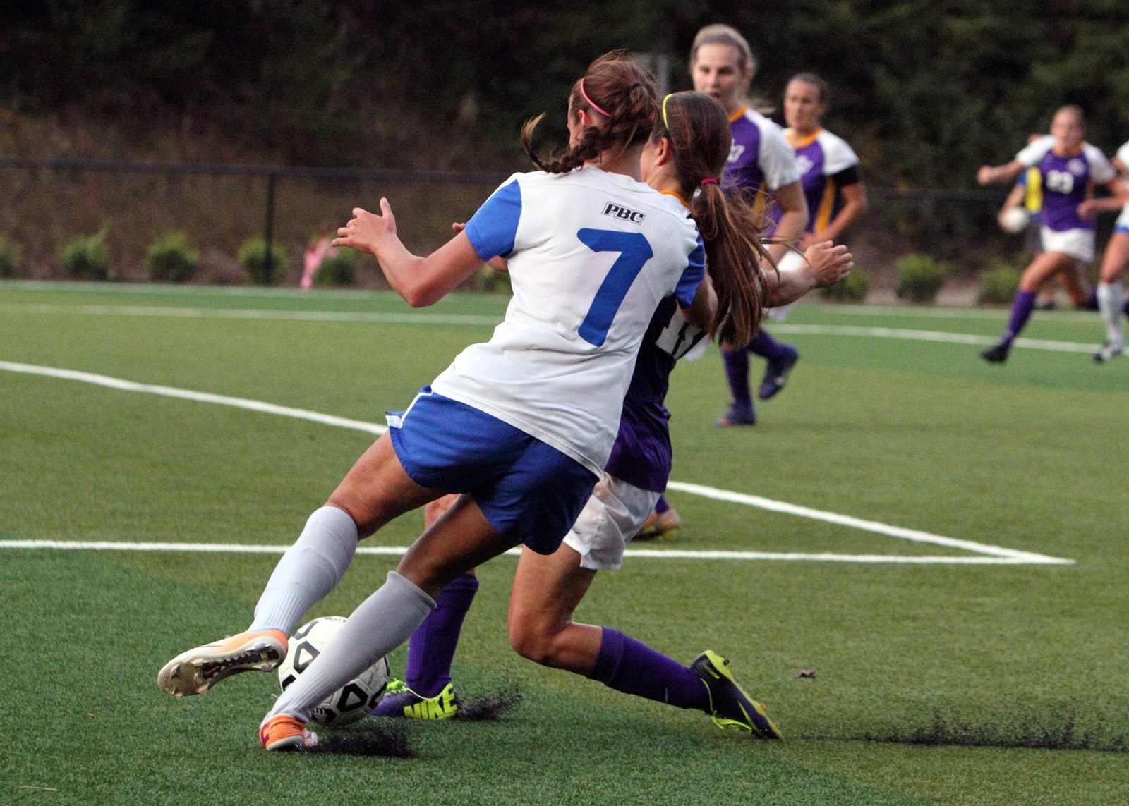 Jessica Dacey - 2014 - Women's Soccer - University of North Georgia ...