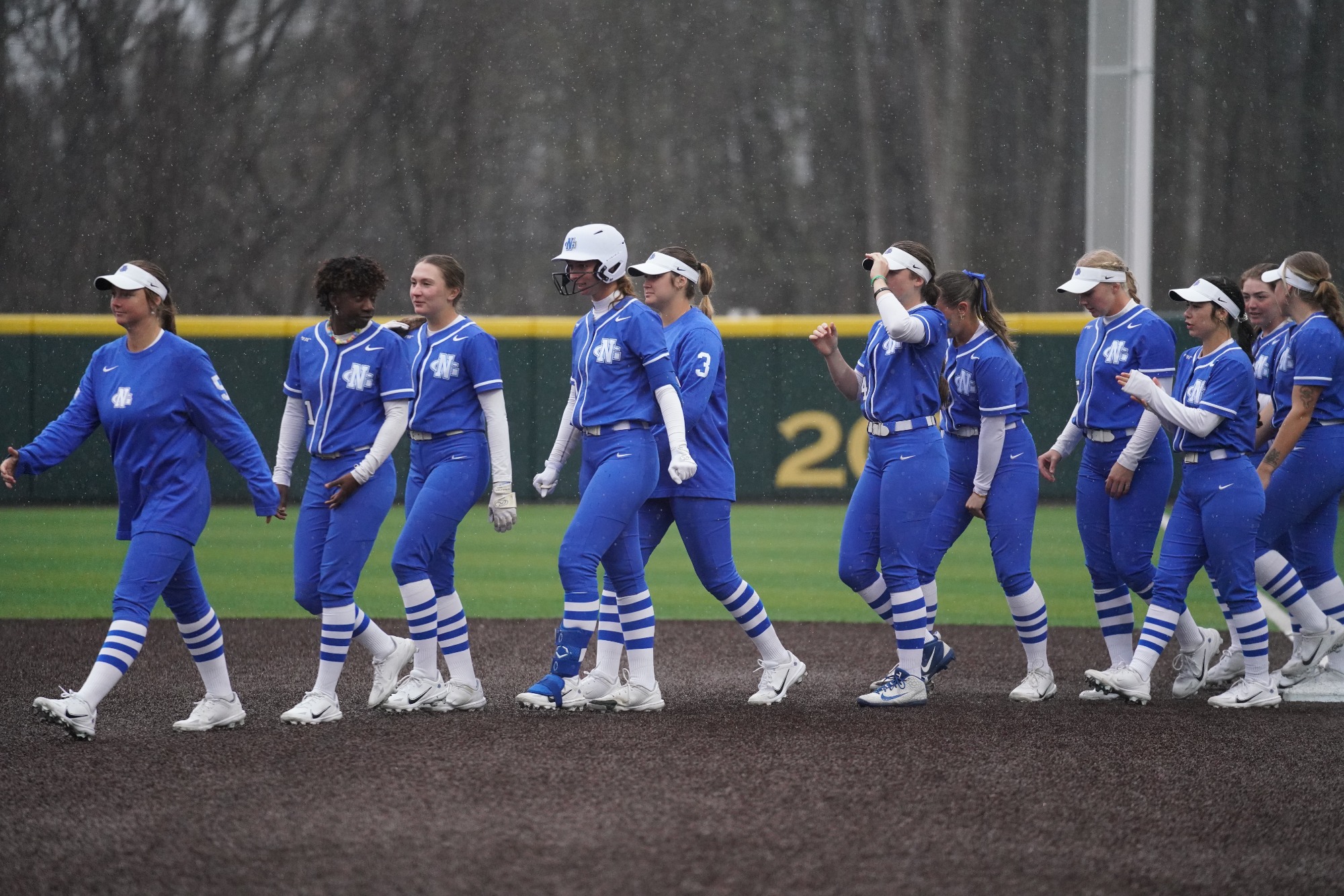 No. 1 North Georgia Returns to Form, Defeats Columbus State 10-2 ...