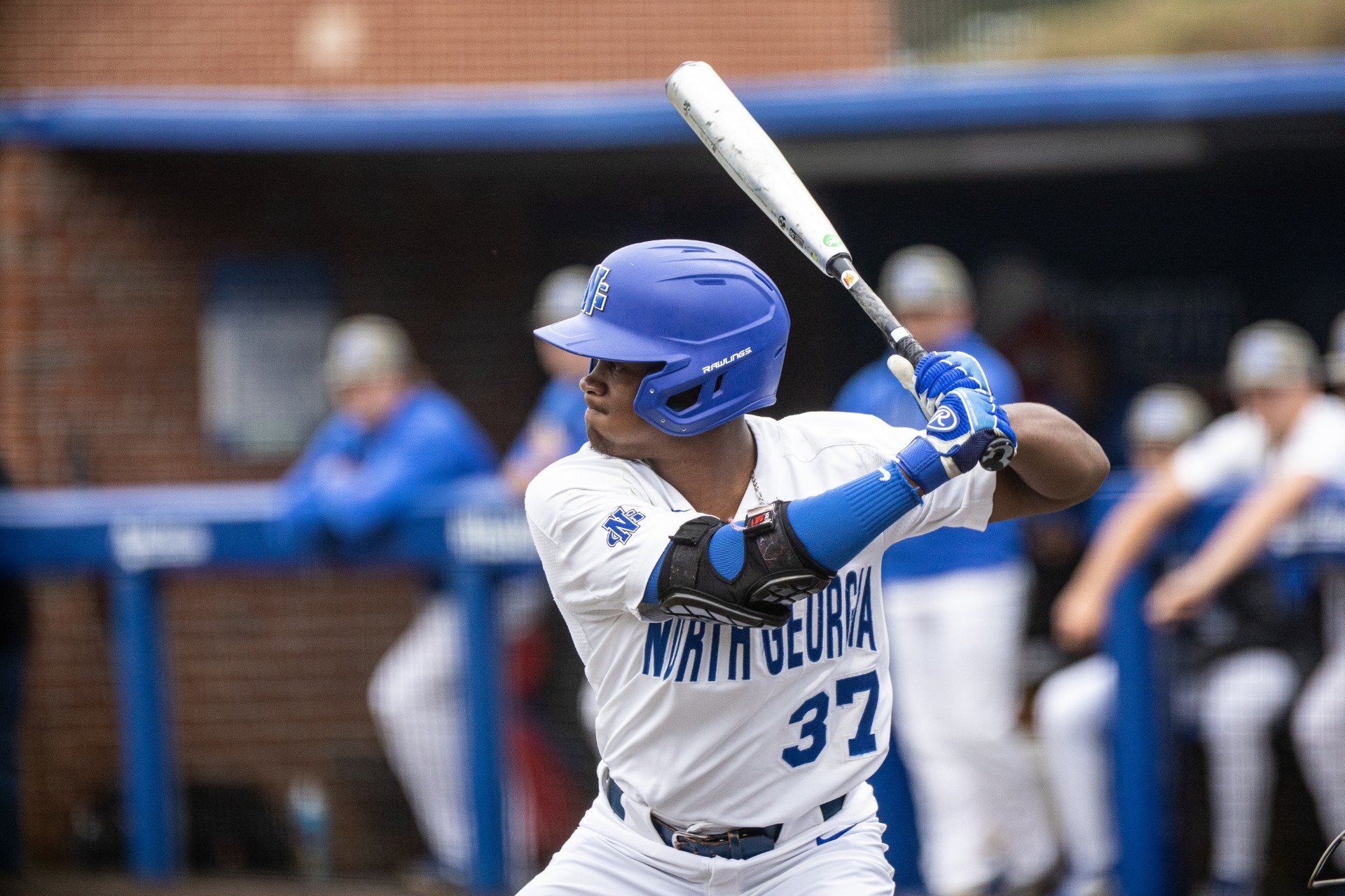 Noah Darden - 2024 - Baseball - University of North Georgia Athletics