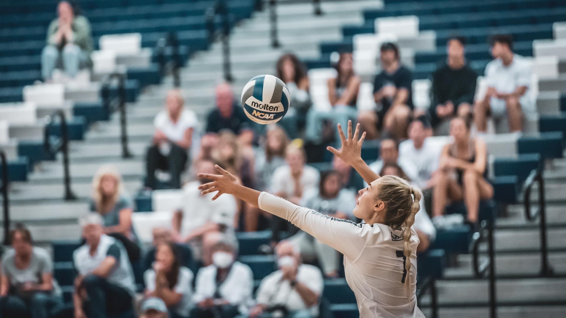 Jamison White - 2023 - Volleyball - University of New Hampshire Athletics