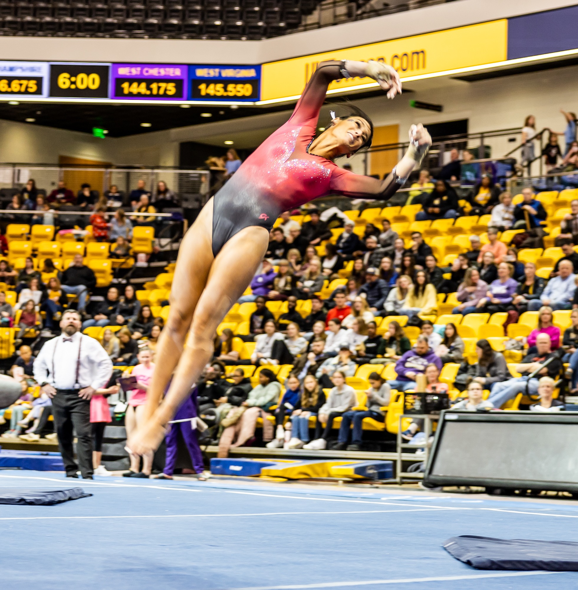 Kenadi Brown - 2023-24 - Women's Gymnastics - University of New ...
