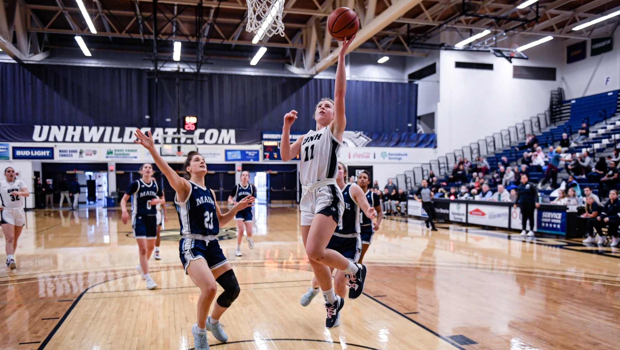 Avery O'Connor - 2023-24 - Women's Basketball - University of New ...