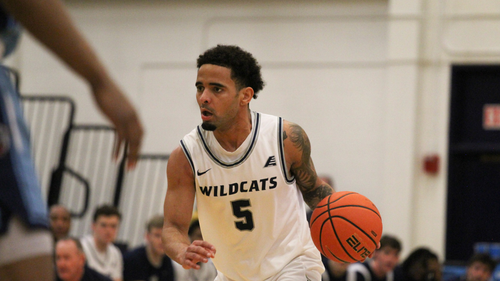 ‘Cats Pick Up Conference Win Versus Maine in Buffalo Wild Wings Border ...