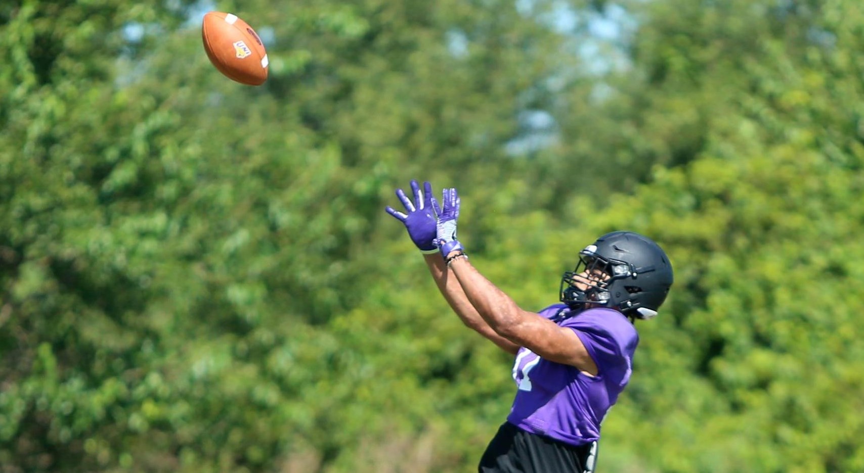 Aaron Graham - 2019 - Football - UNI Athletics