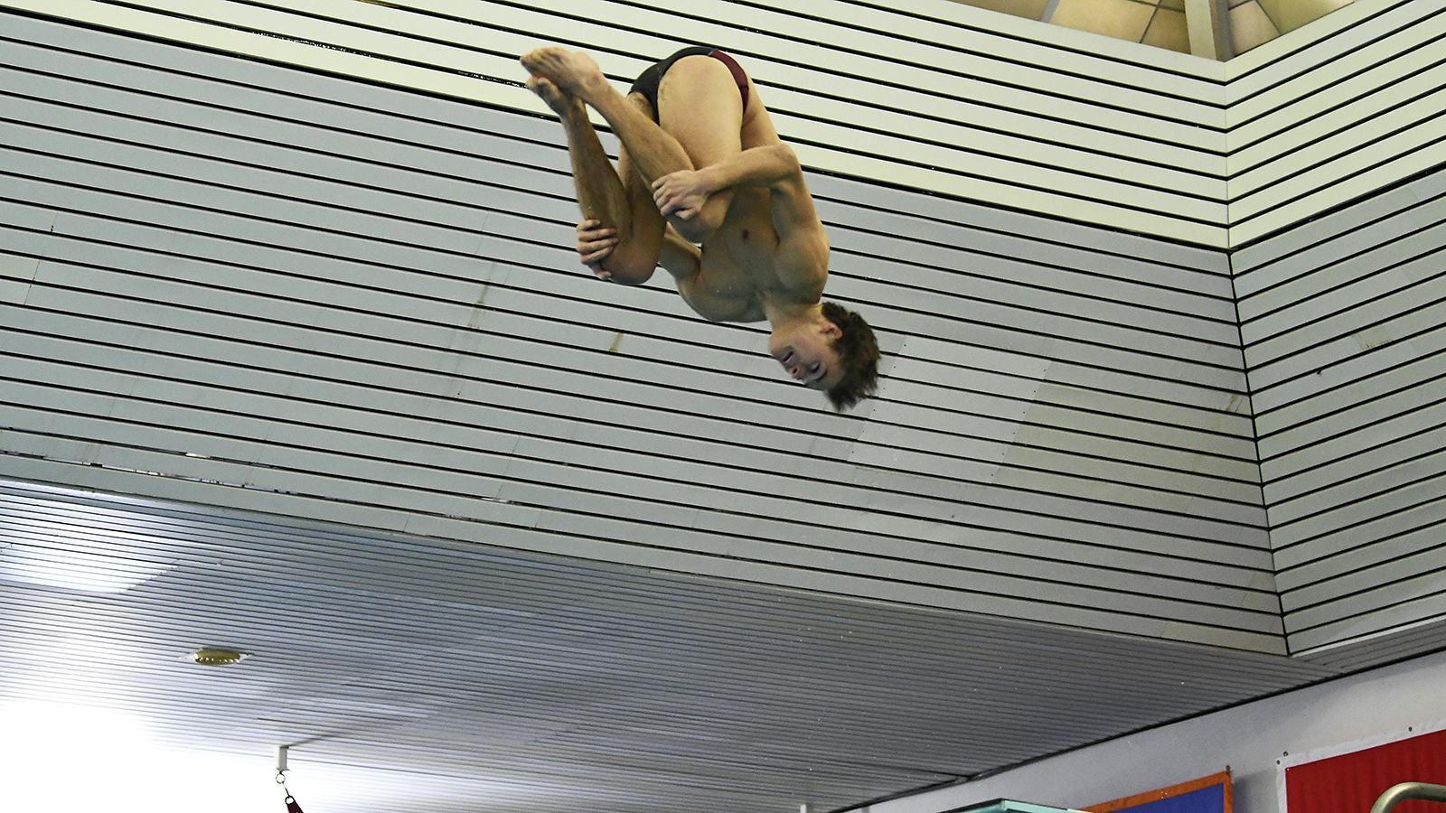 Davis Harrington - 2018-19 - Men's Swimming & Diving - Union College ...