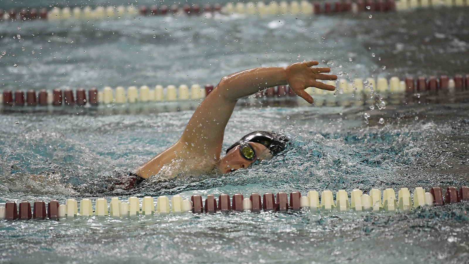 Emilee Nason - 2018-19 - Women's Swimming & Diving - Union College ...