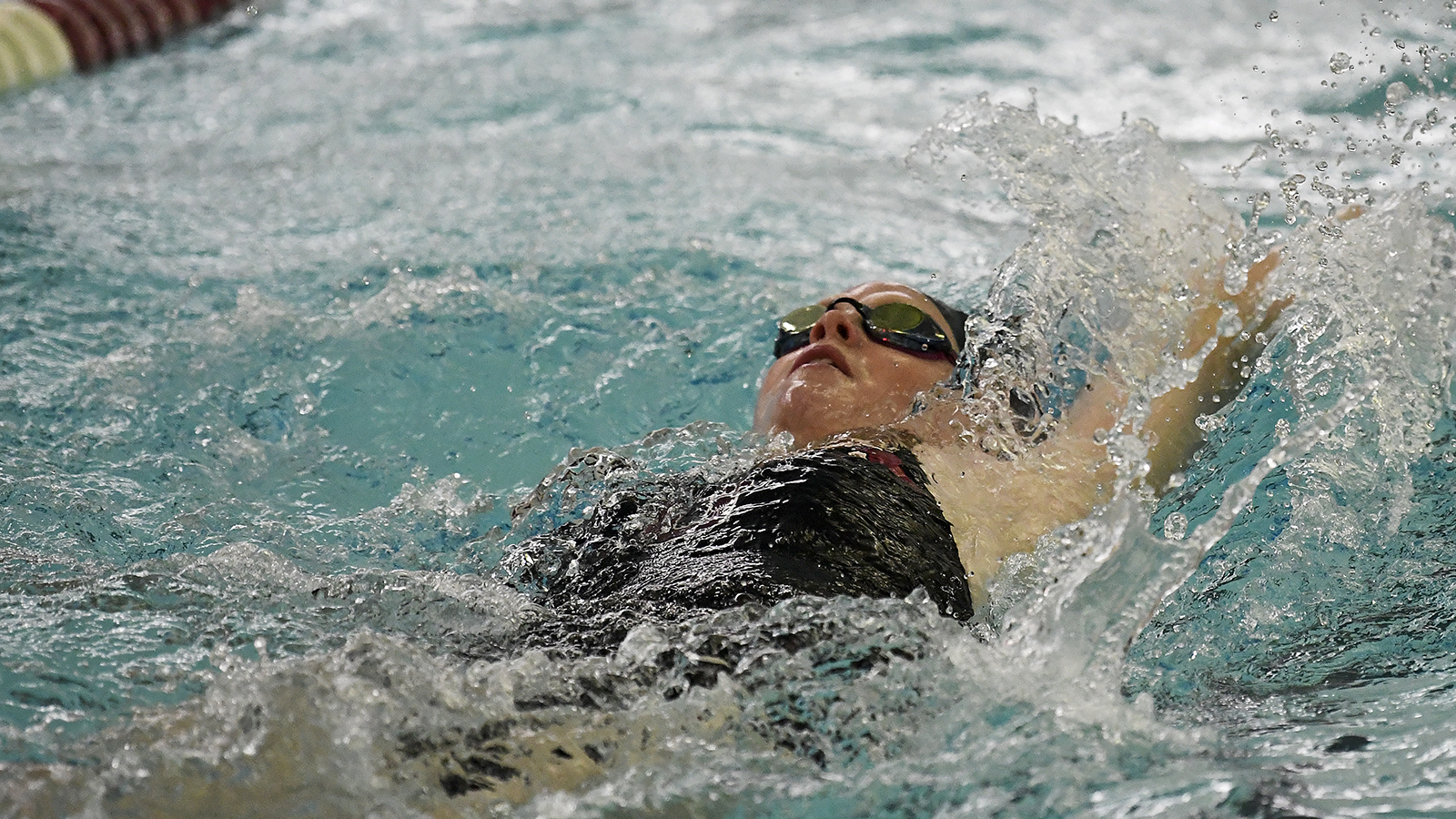 Jennifer Nutter - 2018-19 - Women's Swimming & Diving - Union College ...