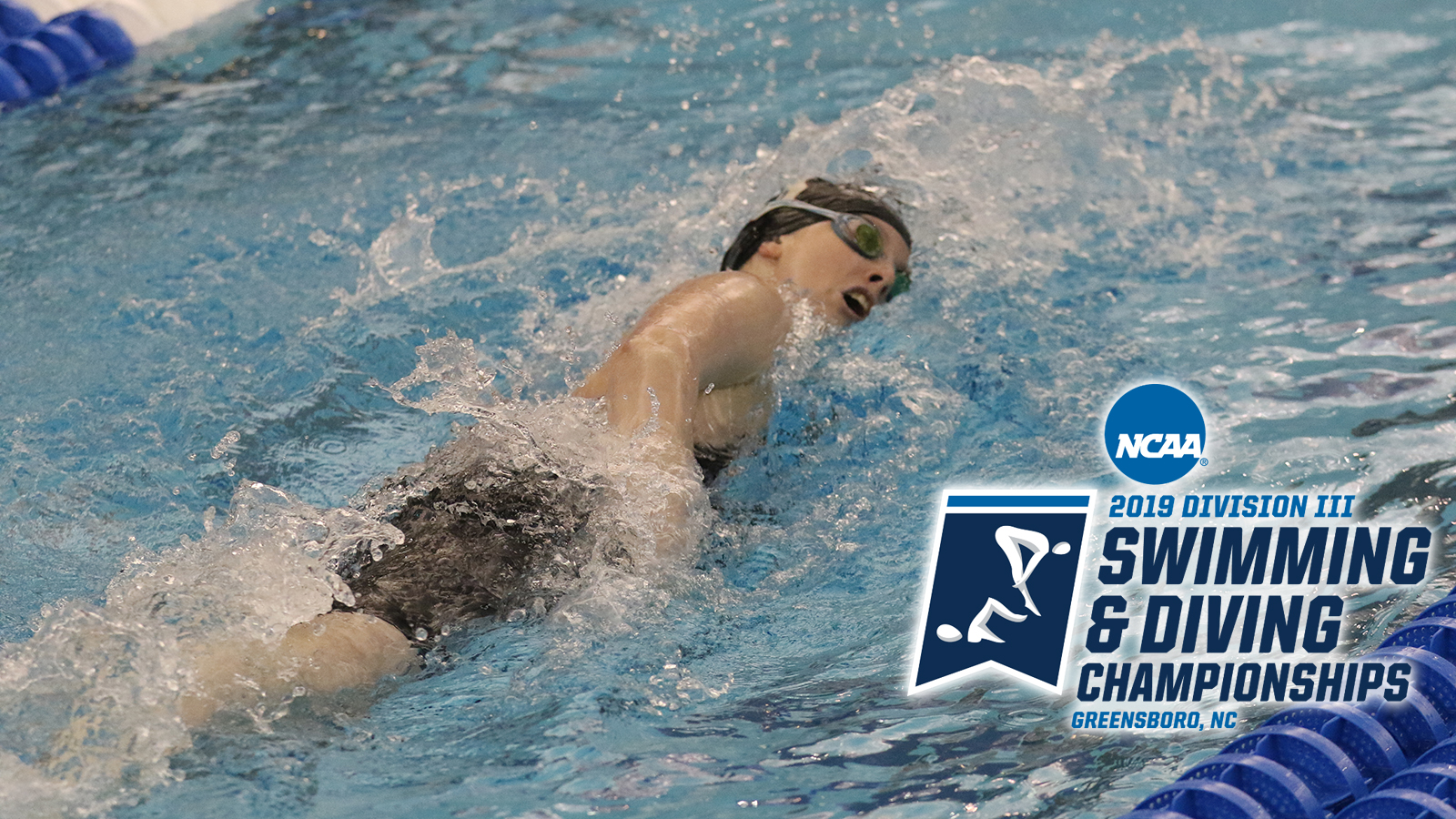 Kelly Places 23rd in 200 IM on Day One of NCAAs - Union College Athletics