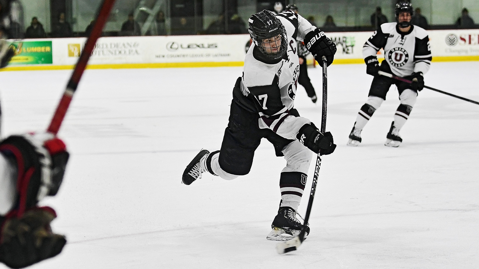 Cole Maier - 2018-19 - Men's Ice Hockey - Union College Athletics