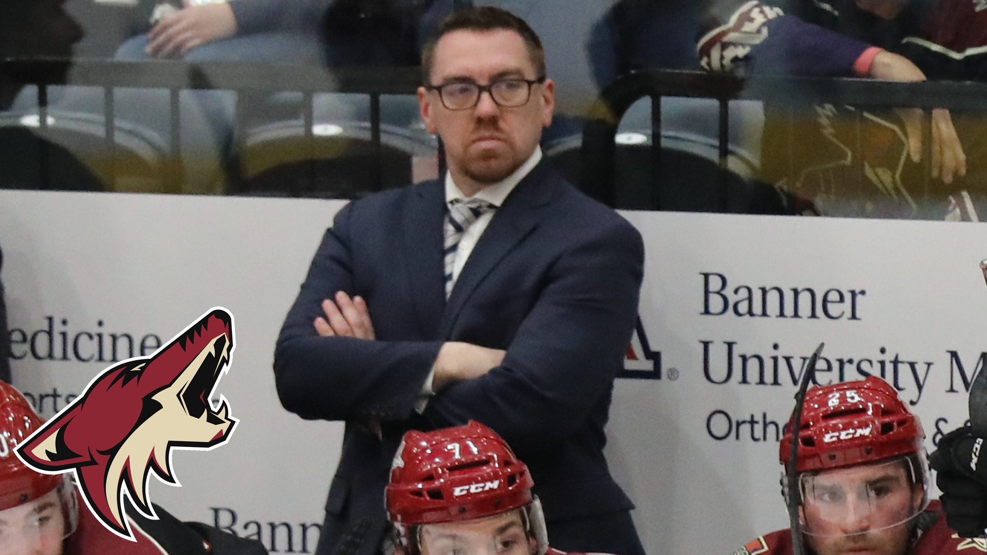 Jay Varady '01 Named to Arizona Coyotes' Coaching Staff - Union College ...