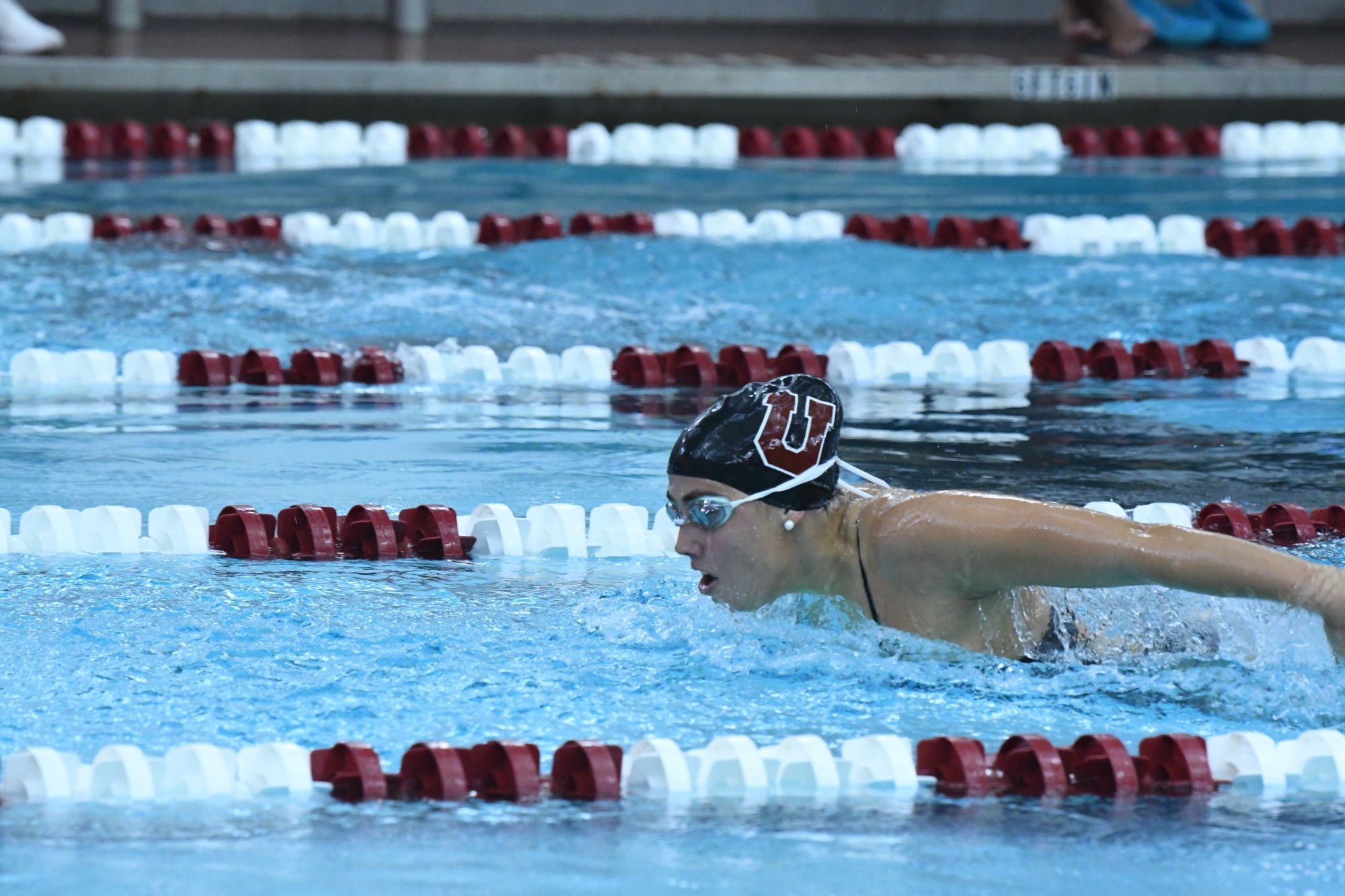 Molly Miller - 2024-25 - Women's Swimming & Diving - Union College ...
