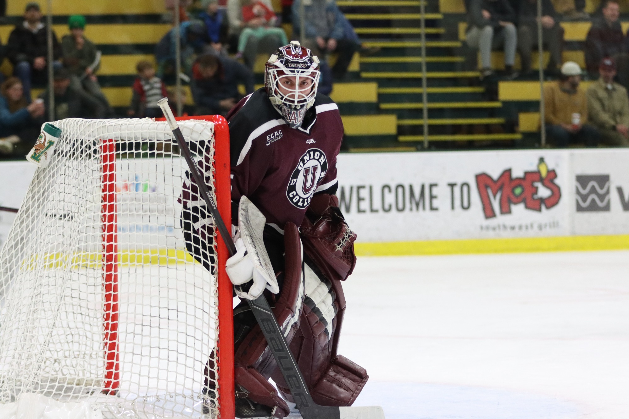 Joe Sharib - 2024-25 - Men's Ice Hockey - Union College Athletics