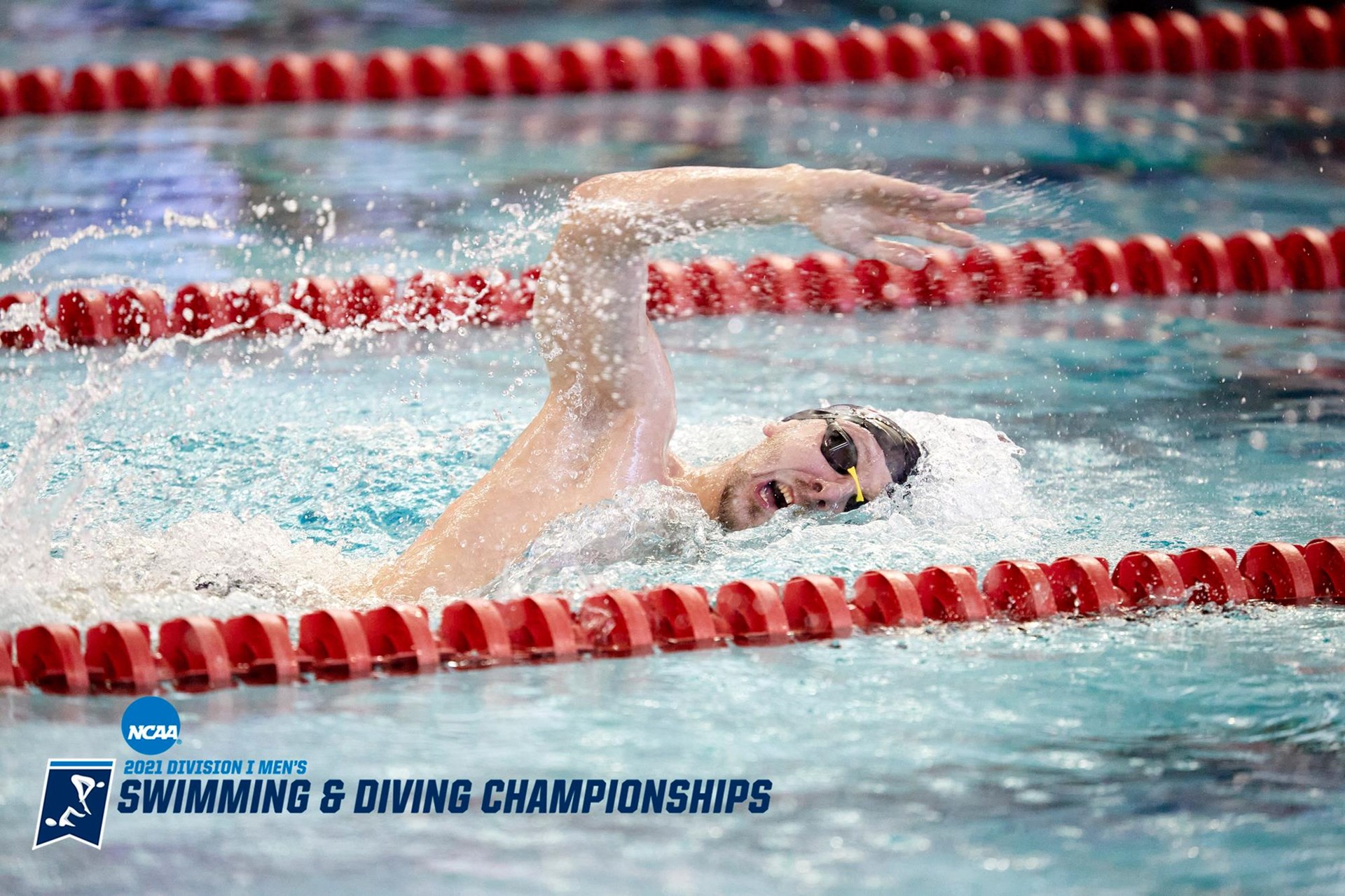 Vuk Celic - Swimming & Diving - University of Nevada Las Vegas Athletics
