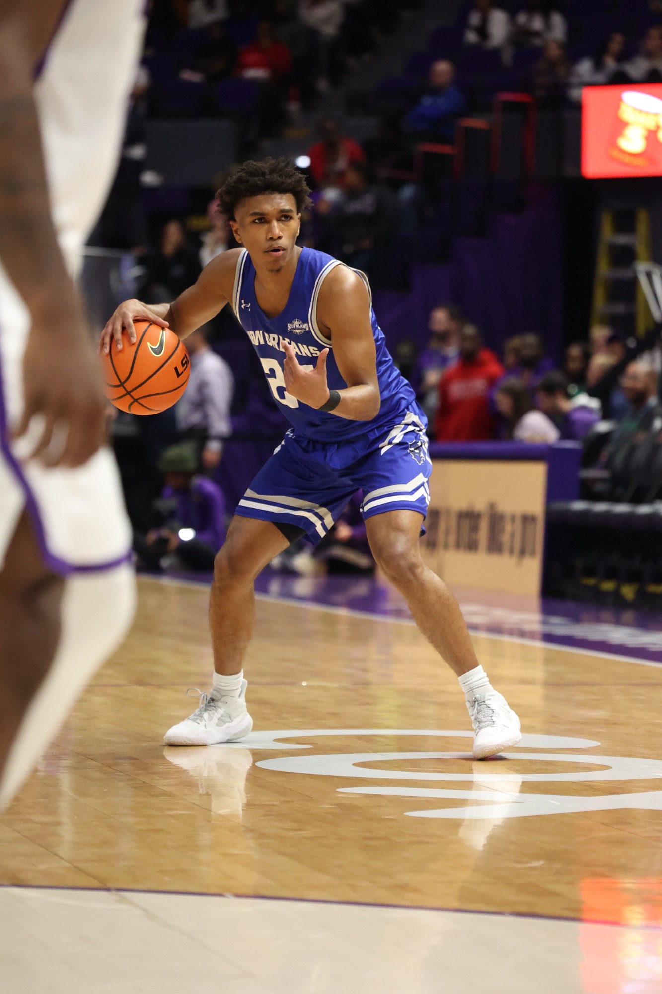 Preston Murphy, Jr. - 2023-24 - Men's Basketball - University of New ...