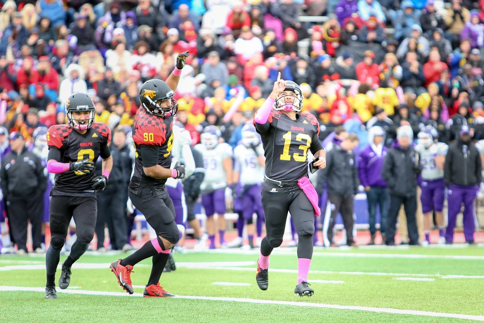 Daniel Ferraro - 2014-15 - Football - University of Guelph Athletics