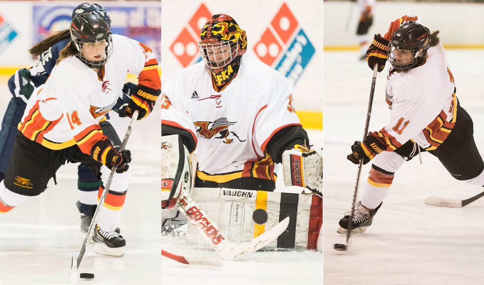 Stephanie Nehring - 2015-16 - Hockey - Women - University of Guelph ...