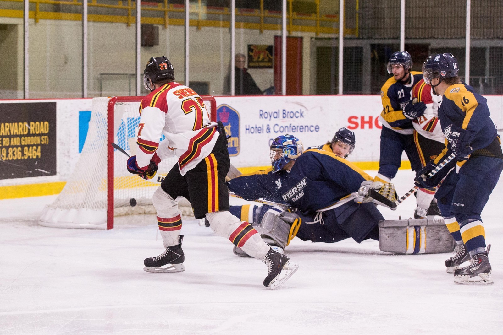Seth Swenson - 2018-19 - Hockey - Men - University of Guelph Athletics