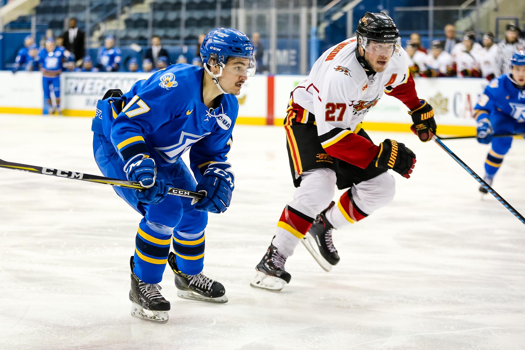 Seth Swenson - 2018-19 - Hockey - Men - University of Guelph Athletics