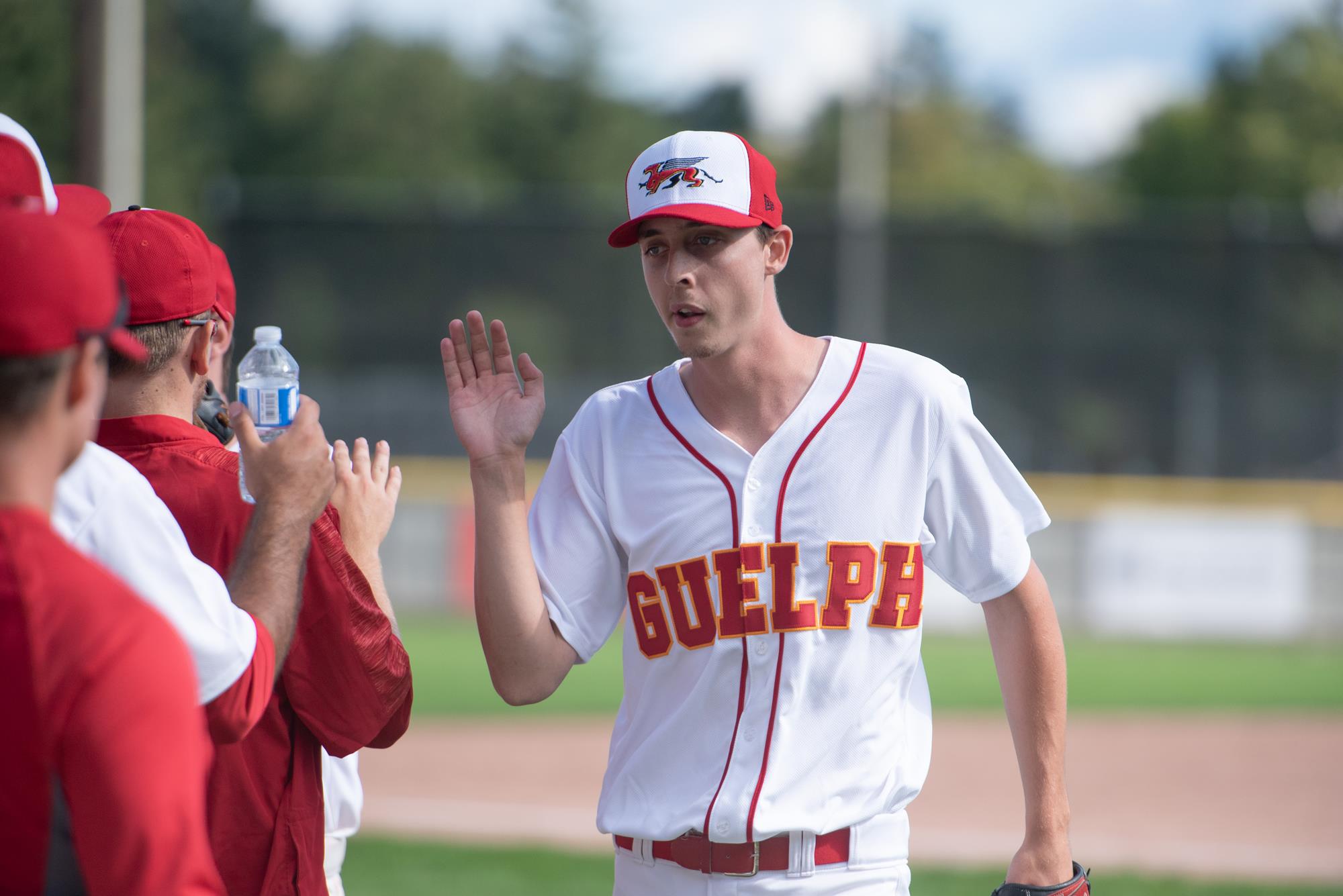 Dylan Clark - 2019-20 - Baseball - University of Guelph Athletics