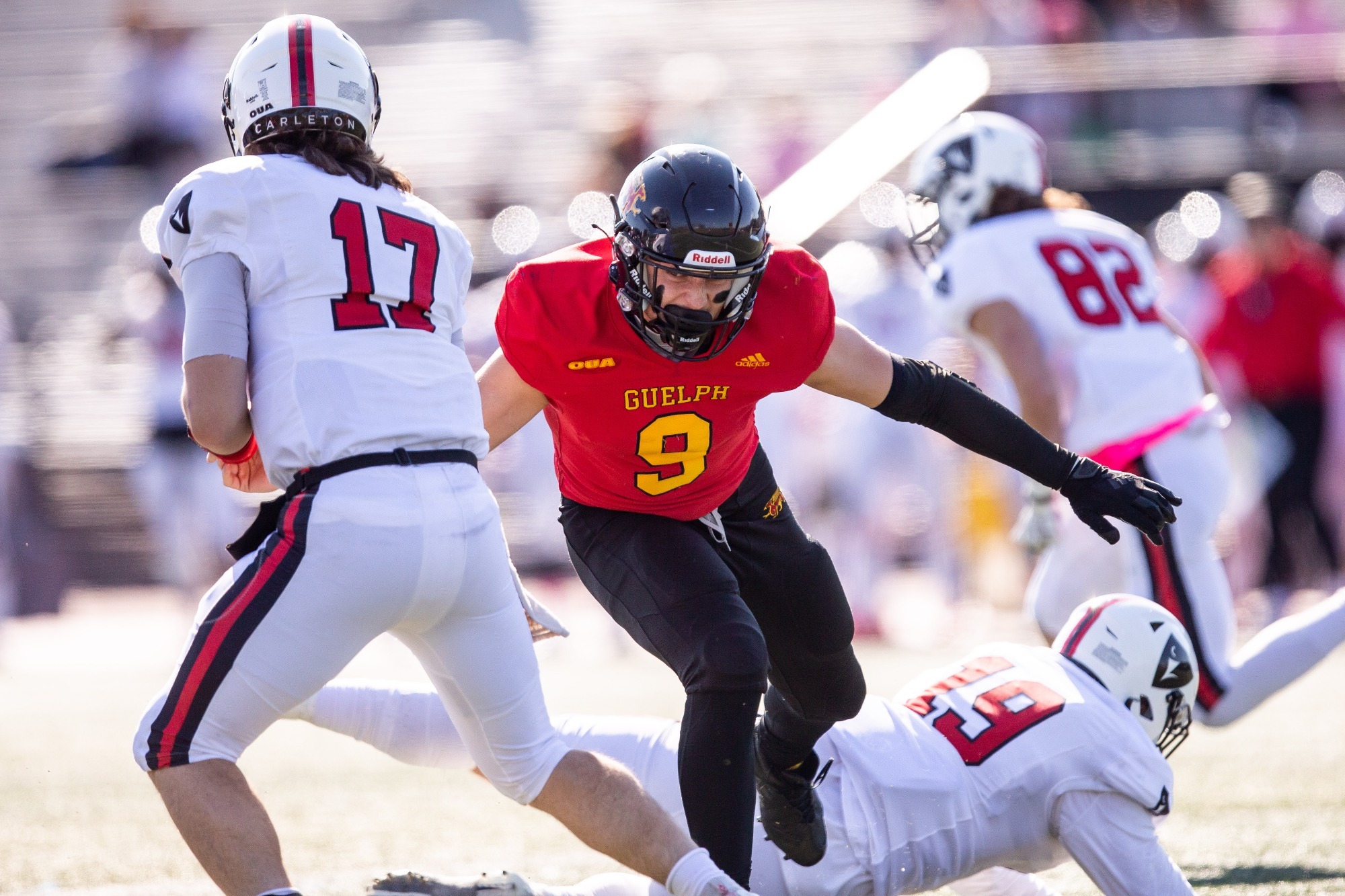 Scott Murray - 2023-24 - Football - University of Guelph Athletics