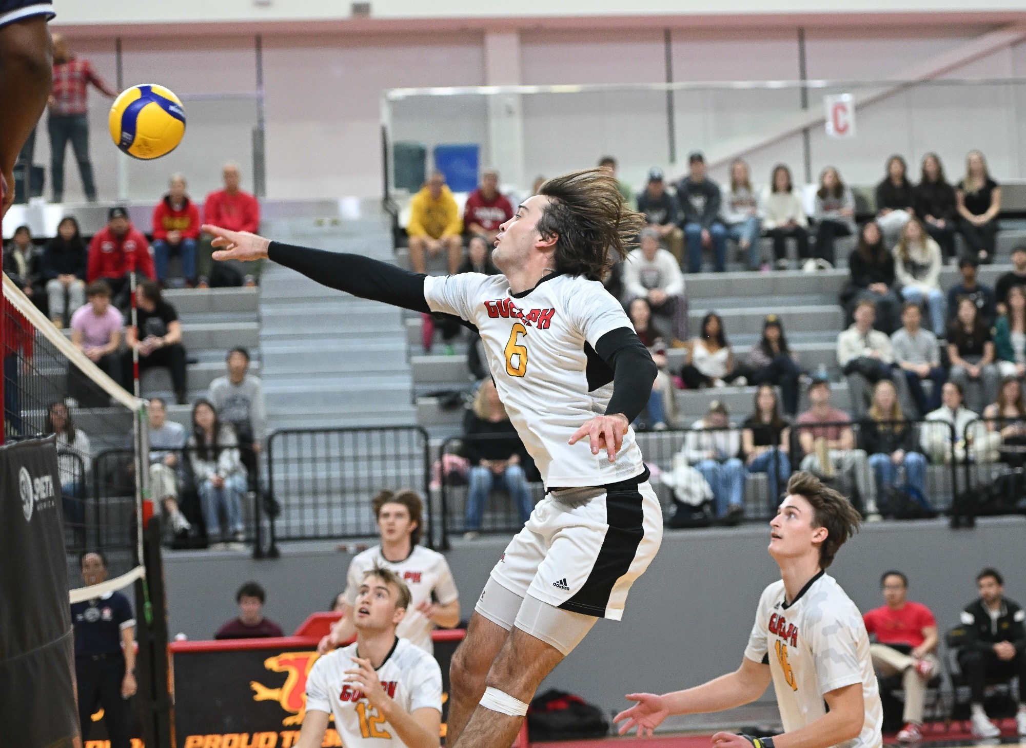 MVB RECAP: Gryphons Suffer Second Loss of the Season to McMaster ...
