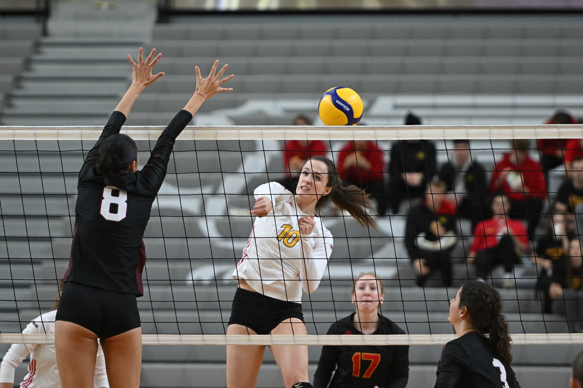 WVB RECAP: Gryphons Suffer 3-0 Loss to Marauders to Close out Fall ...