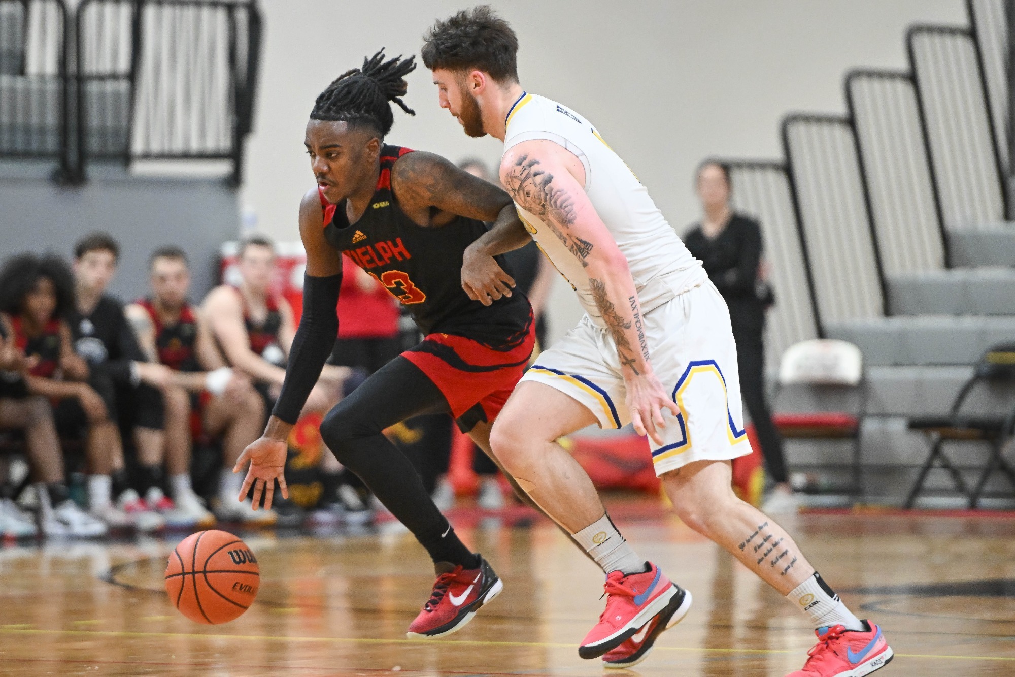 Dezayne Mingo - 2023-24 - Basketball - Men - University of Guelph Athletics