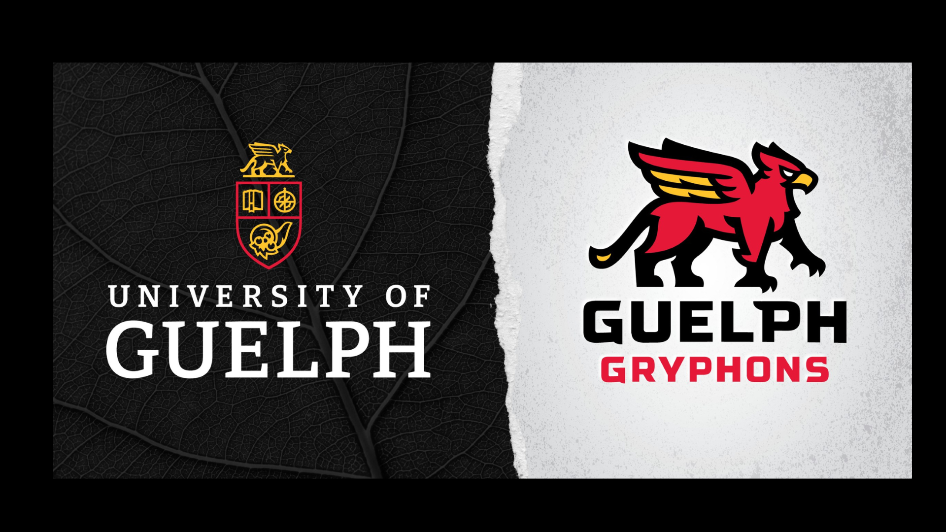 Gryphon Athletics and Guelph Minor Hockey Association extend ...