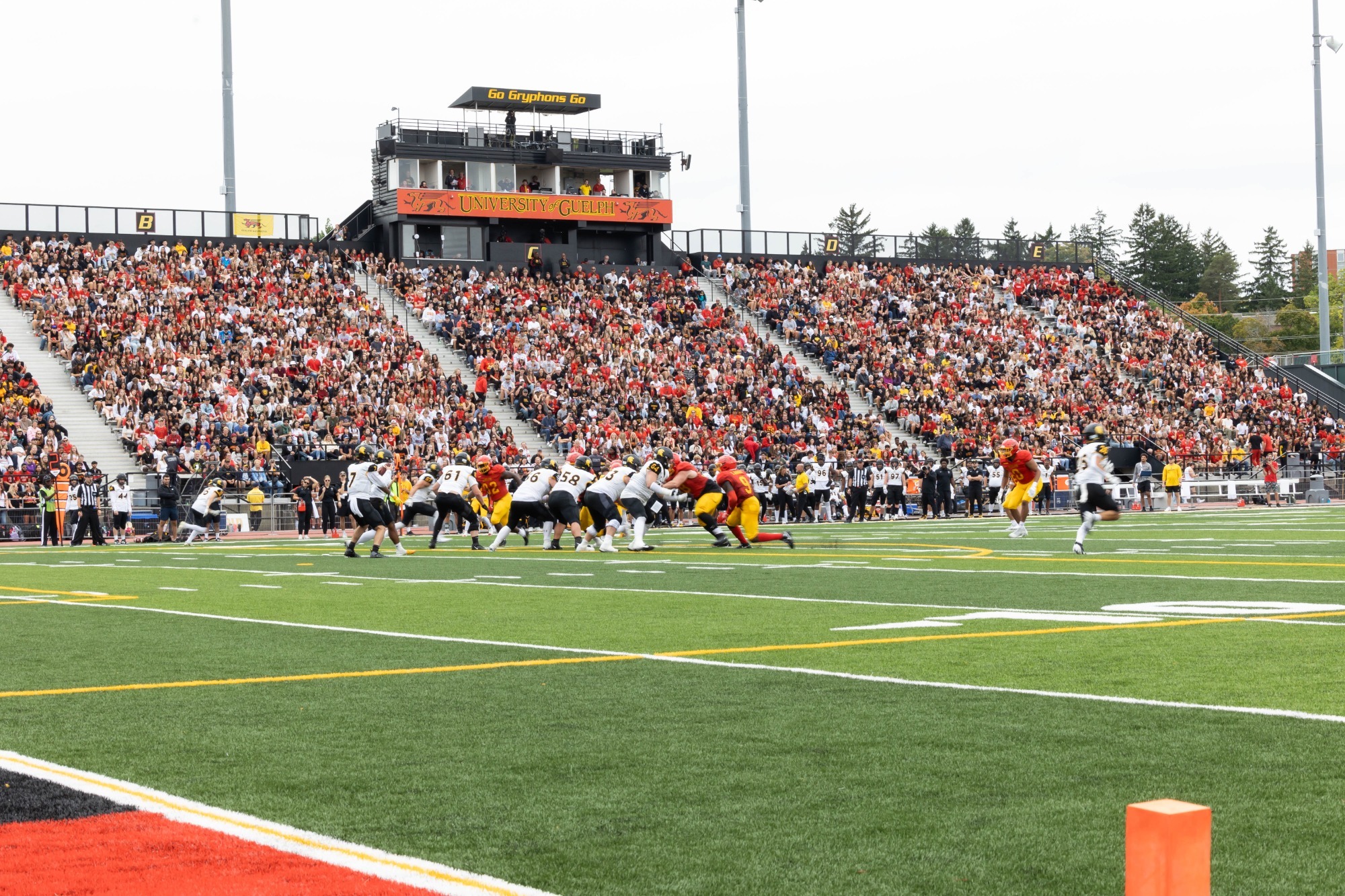 Toronto Argonauts Set to Return to the University of Guelph in 2025 ...