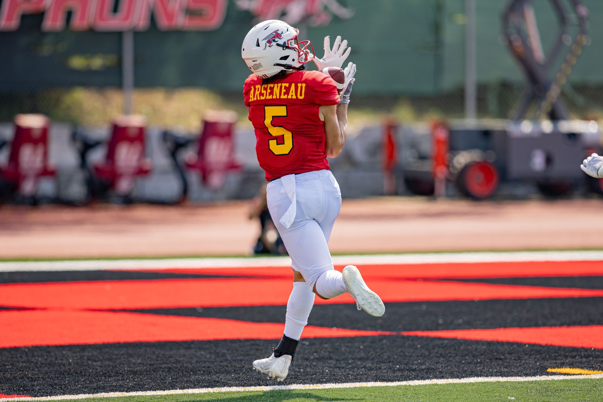 2025 Gryphon Football Tickets Now on Sale - University of Guelph Athletics