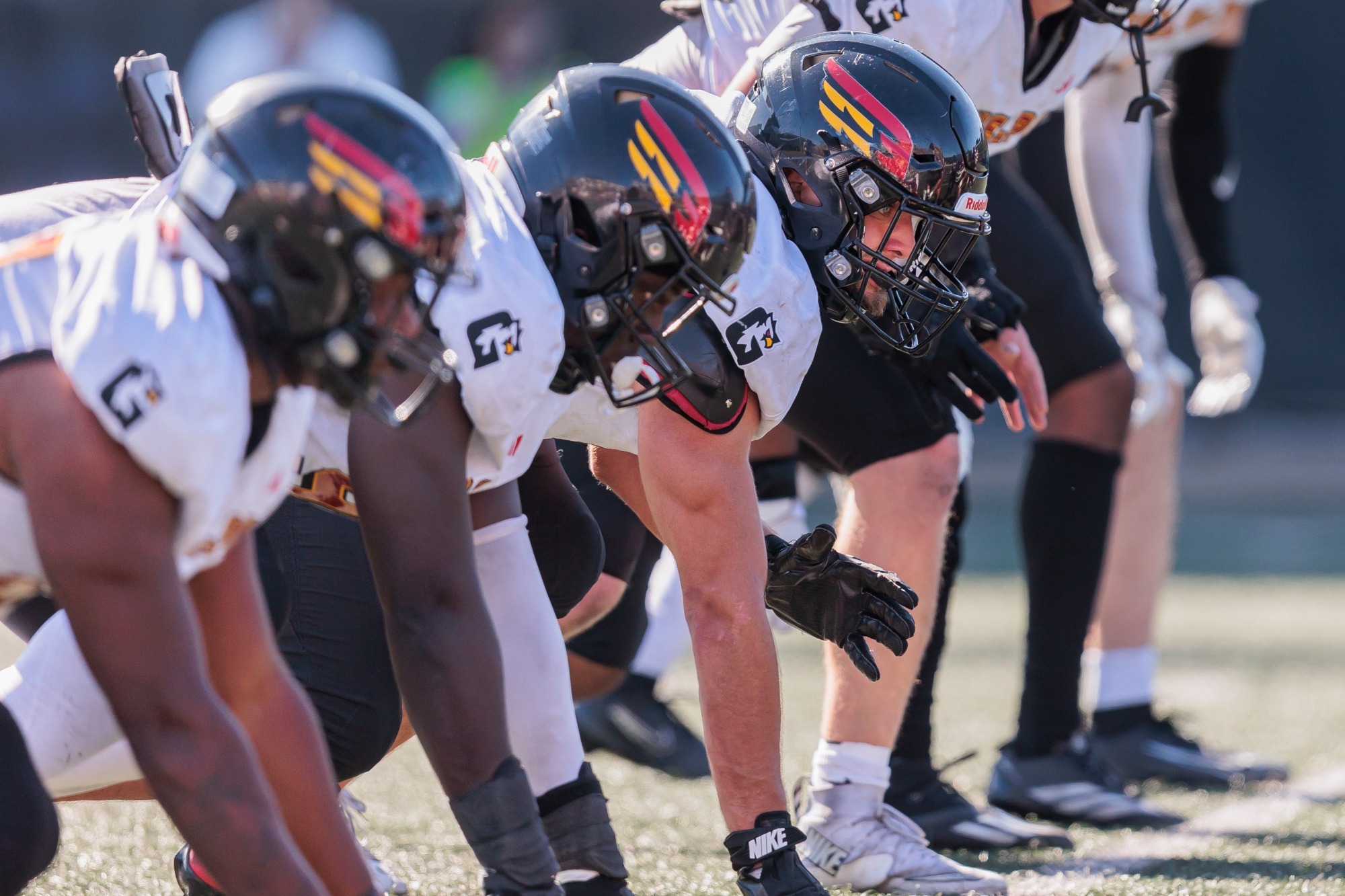 2025 Gryphon Football Tickets Now on Sale - University of Guelph Athletics