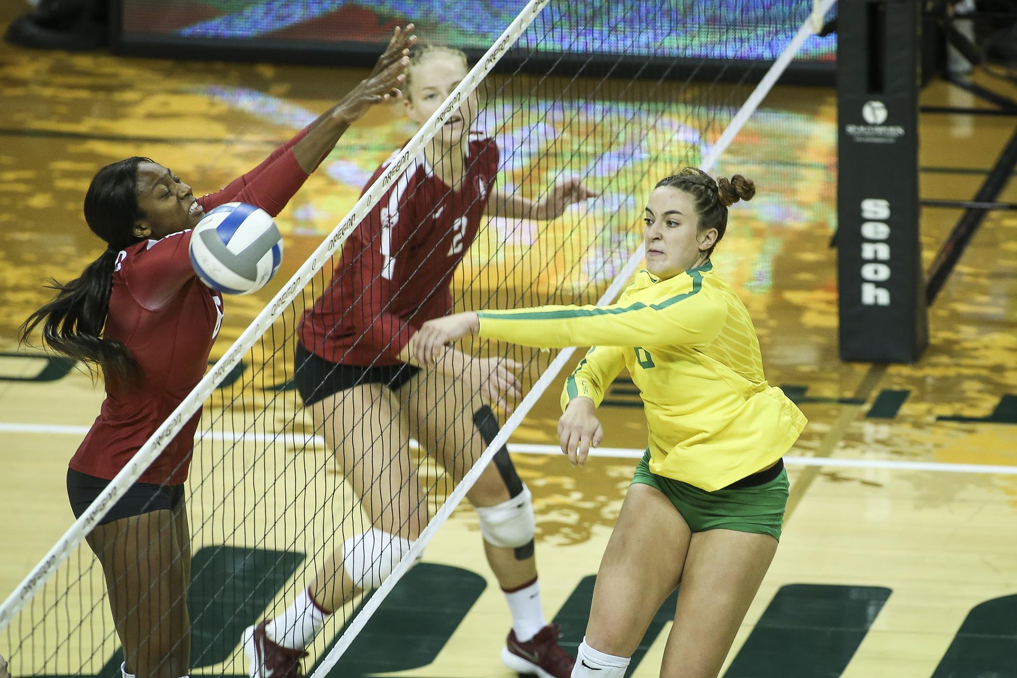 August Raskie - Women's Volleyball - University of Oregon Athletics