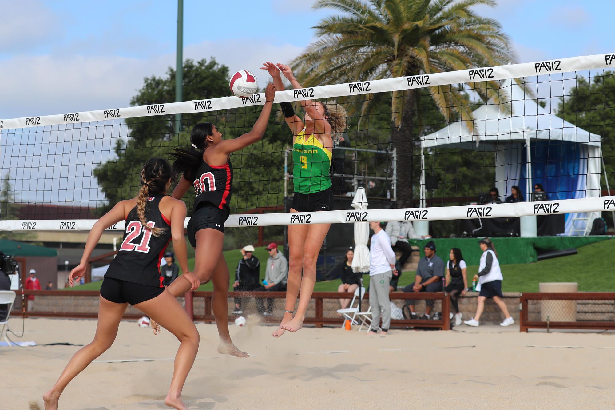 Taylor Agost - Women's Beach Volleyball - University of Oregon Athletics