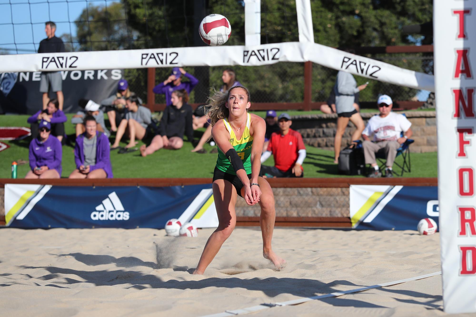 Taylor Agost - Women's Beach Volleyball - University of Oregon Athletics