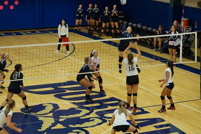 Renee' Ault - Women's Volleyball - University of Pittsburgh Greensburg ...