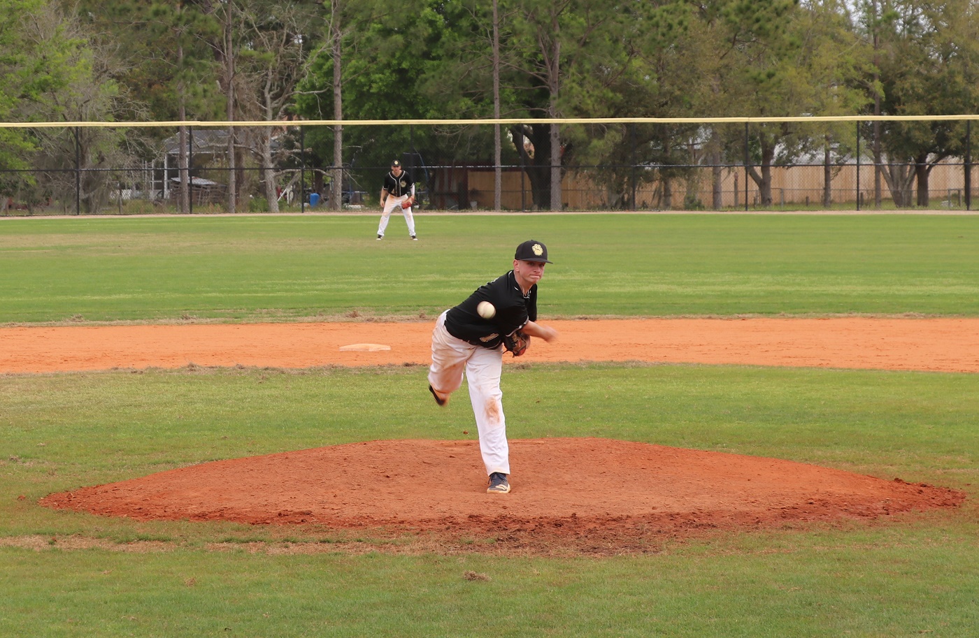 Michael Sullivan Jr. - Baseball - University of Pittsburgh Greensburg ...