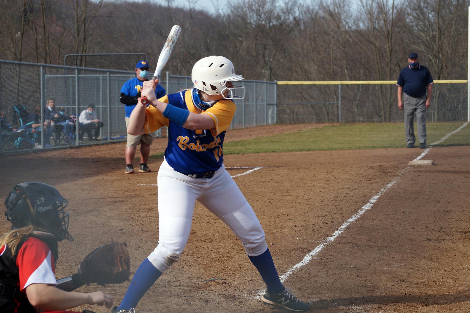 Ashley Noel - Softball - University of Pittsburgh Greensburg Athletics
