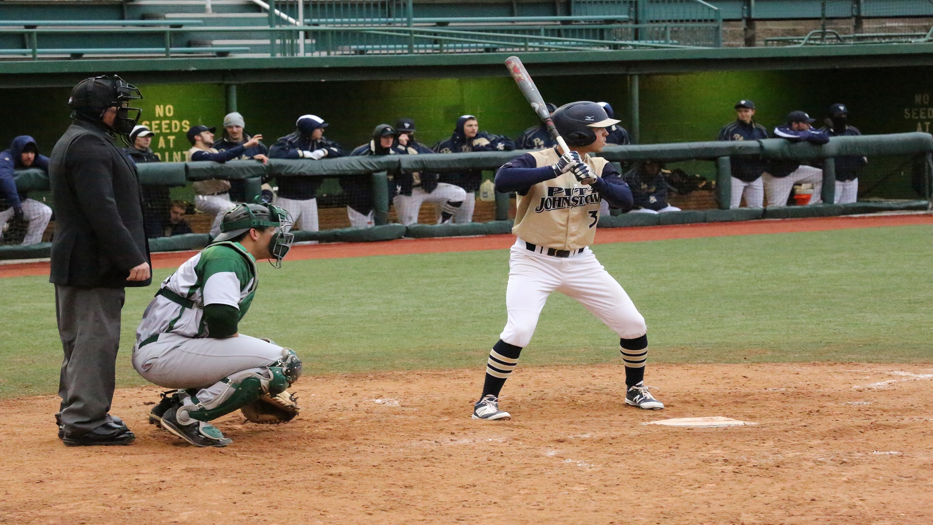 Tanner Cook - Baseball - University of Pittsburgh at Johnstown Athletics