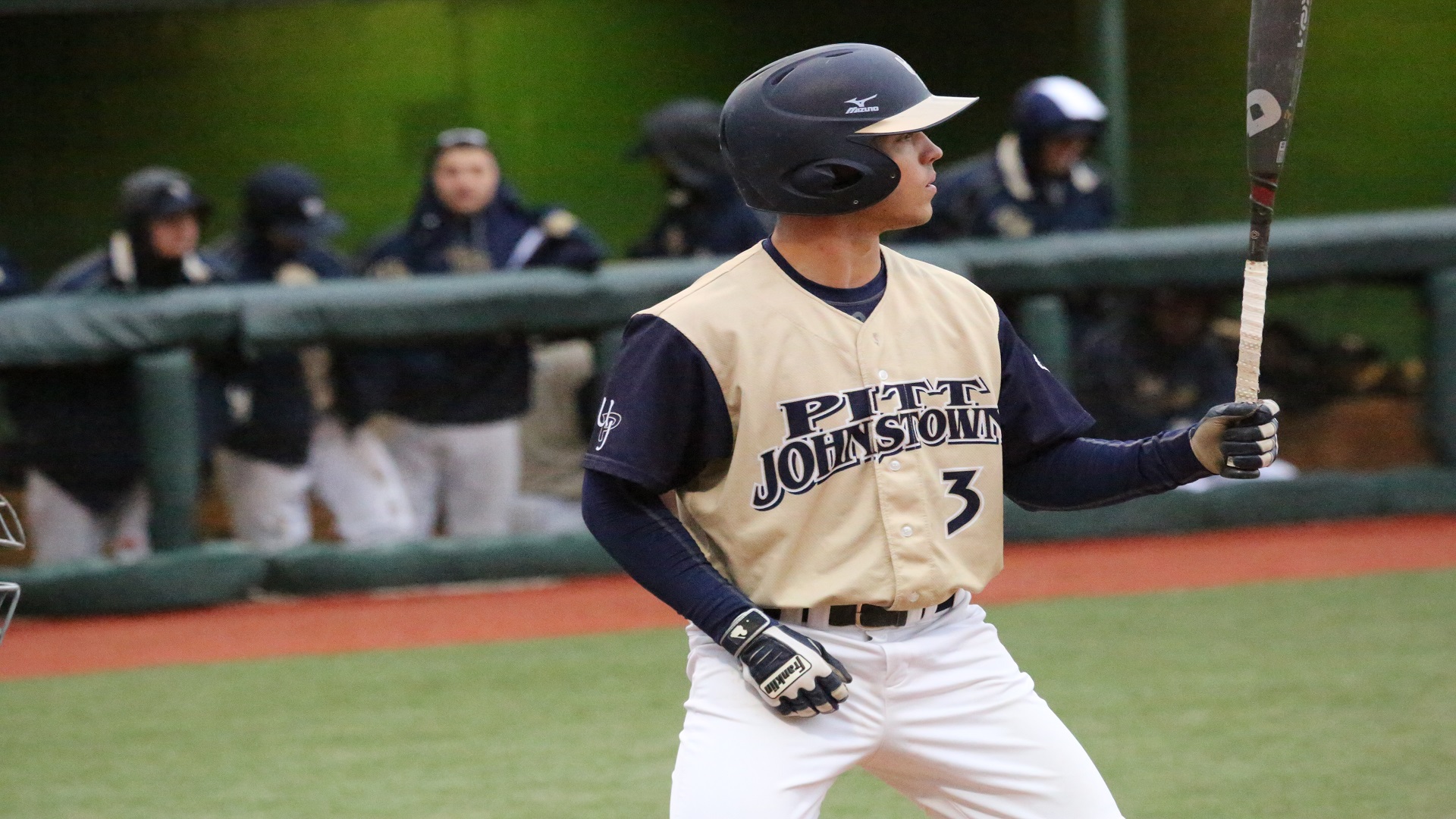 Tanner Cook - Baseball - University of Pittsburgh at Johnstown Athletics