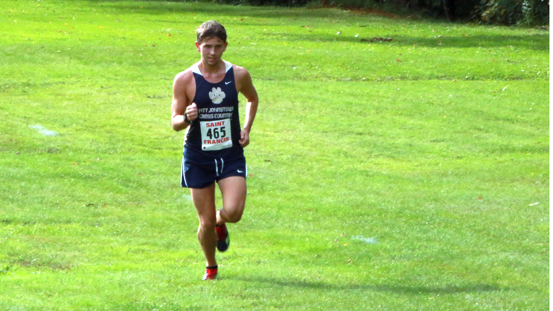 Tom McArdle - Men's Cross Country - University of Pittsburgh at ...
