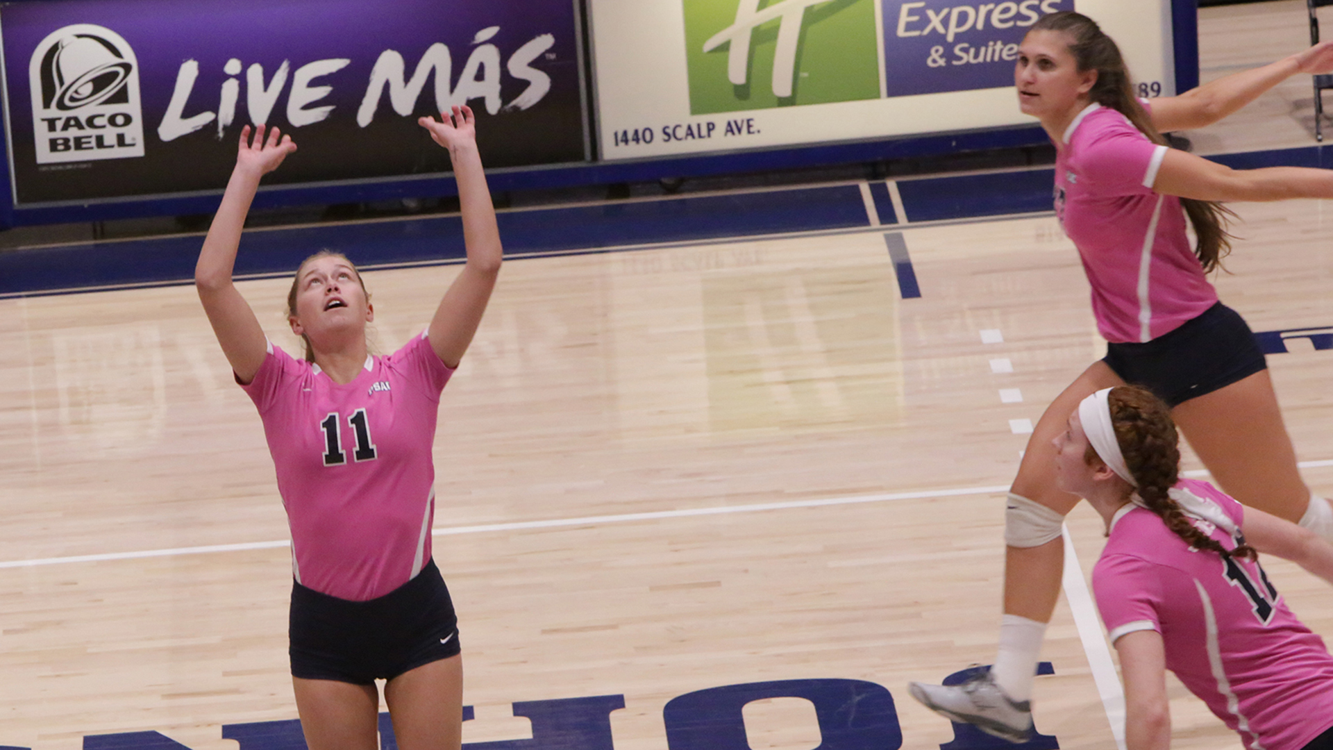 Morgan Yurkovich - Women's Volleyball - University of Pittsburgh at ...